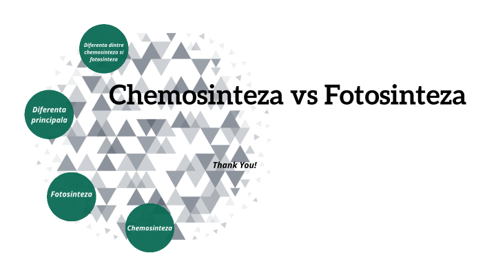 Chemosinteza vs Fotosinteza by Bocai Daria on Prezi