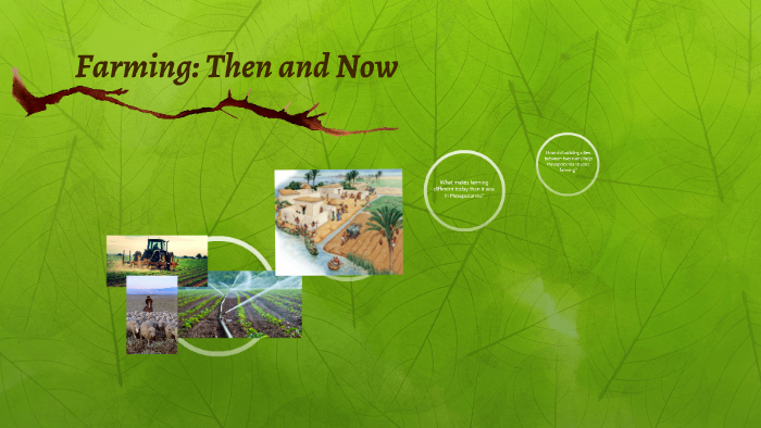 Farming: Then and Now by Logan Whitney