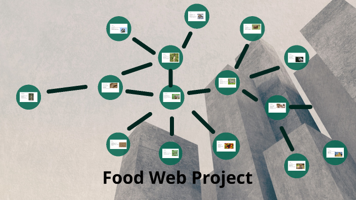 Food Web Project Elizabeth Gentner by Elizabeth Gentner on Prezi