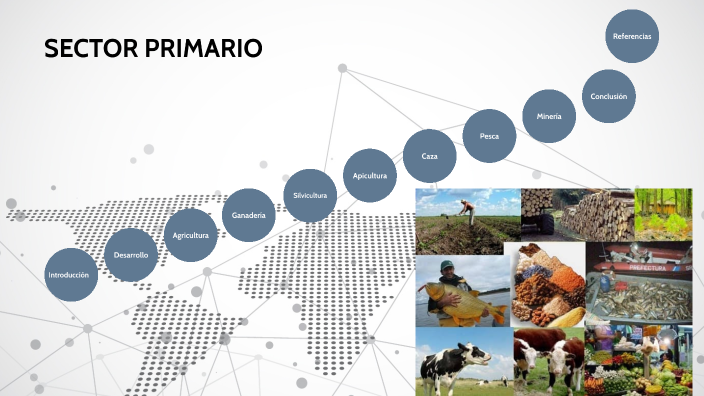 SECTOR PRIMARIO by Marisela Ramos on Prezi