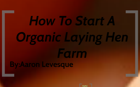How To Start A Organic Laying Hen Farm by Aaron levesque on Prezi