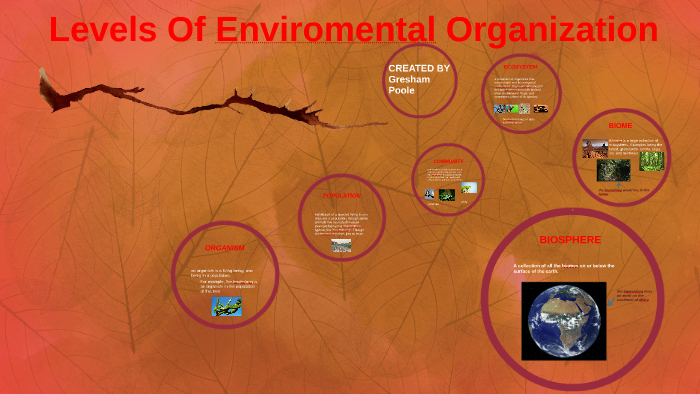 Levels Of Organization By Gresham Poole levels-of-organization-by-gresham-poole