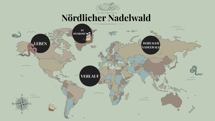 nördlicher nadelwald by She Nza
