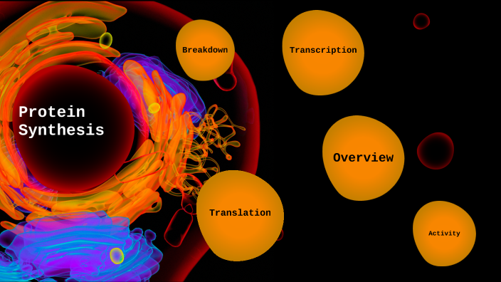 Evolution, Protein Synthesis by Violetta Wojcik on Prezi