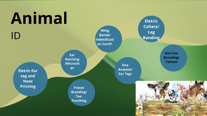 Animal ID by Kayden Dejesus on Prezi