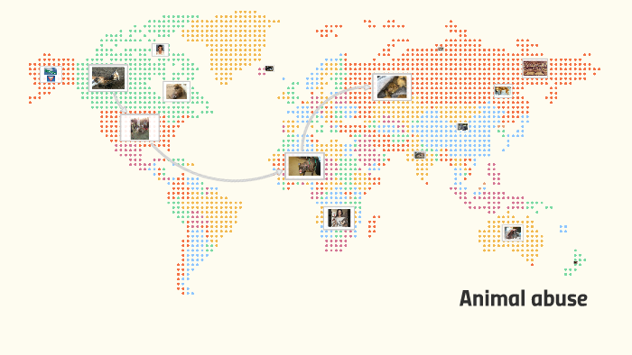 Animal abuse around the world by lydia amha on Prezi