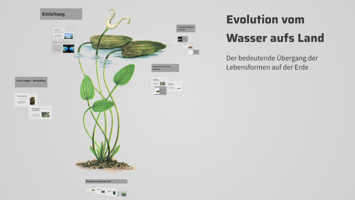 Evolution vom Wasser aufs Land by Luca Marx on Prezi