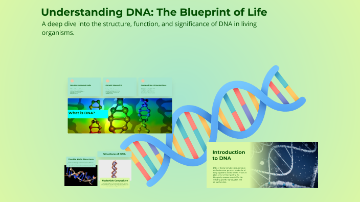 Understanding DNA: The Blueprint of Life by Alfio Cannavò on Prezi