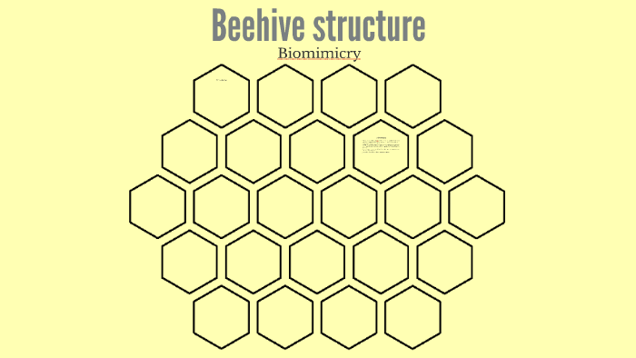 Beehive structure - biomimicry by Arabella Allen on Prezi