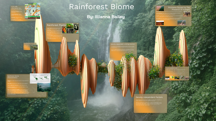 Rainforest Biome Project by Illianna Bailey on Prezi