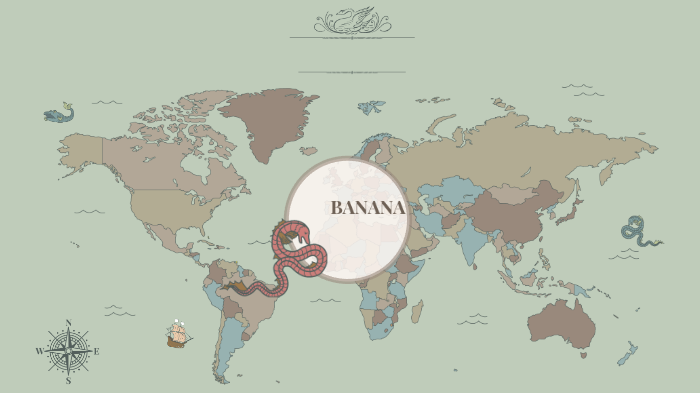 BANANA TREE MINDMAP by Nabila Alias on Prezi