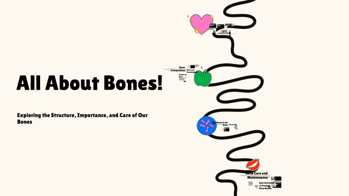 All About Bones! by Kyoungtae Kang on Prezi
