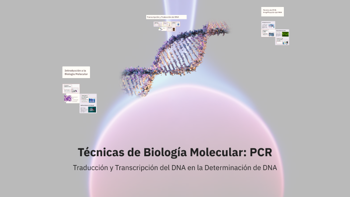 Técnicas de Biología Molecular: PCR by Angel Josue Meraz Sanchez on Prezi