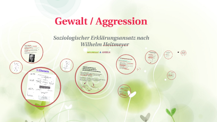 Soziologischer Erklärungsansatz nach Wilhelm Heitmeyer by Michelle H ...