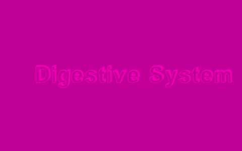 digestive system feedback loop by Mia Alexander on Prezi