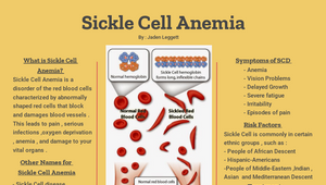 Sickle Cell Anemia Brochure by Jaden Leggett on Prezi Design