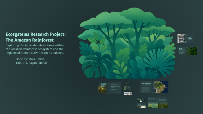 Ecosystems Research Project: The Amazon Rainforest by Mais Jaber on Prezi