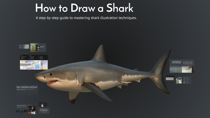 How to Draw a Shark by finn smith on Prezi