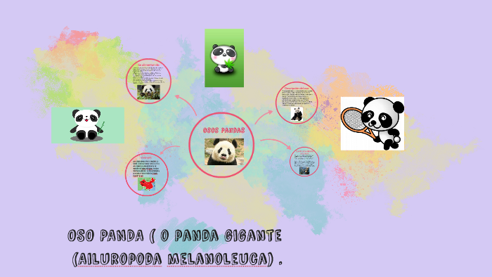 osos pandas by Nalle Ü on Prezi