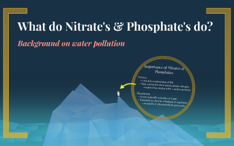 What do Nitrates & Phosphates do? by Mary Ghaly on Prezi
