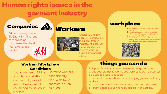 Human rights infographic by Samuel Wong on Prezi