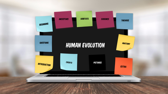 Human Evolution by Sarah Clements on Prezi