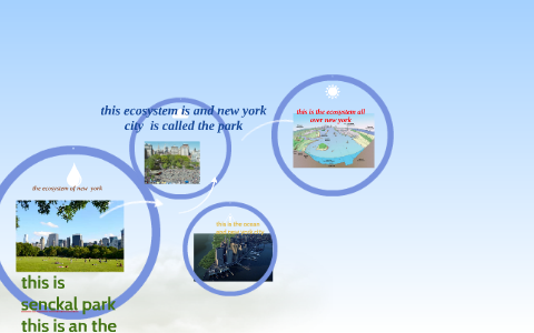 the ecosystem of new york by daylen pounds on Prezi
