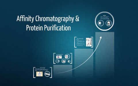 Affinity chromatography/protein purification by Andrew Dinh on Prezi