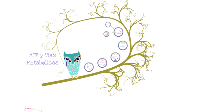 La glucolisis by larissa marlem juarez rangel