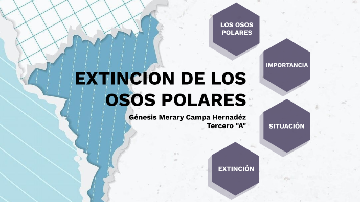 La extinción de los osos polares by Kimberly Monroy Sicaján on Prezi