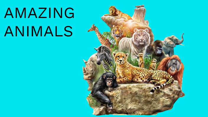 AMAZING ANIMLES by harrison lightcap on Prezi