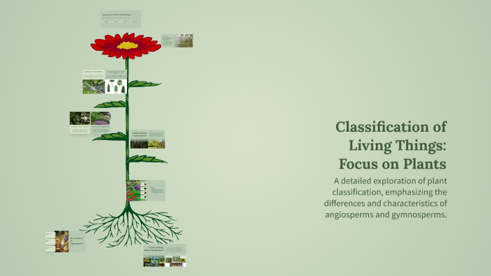 Classification of Living Things: Focus on Plants by MAGNOLIA PALICPIC ...