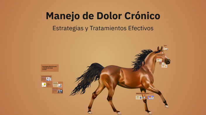 Manejo de Dolor Crónico by Elmer Castañeda on Prezi