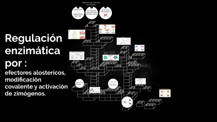 Regulación enzimática: por efectores alostericos, modificación ...