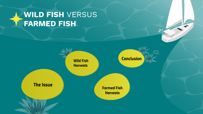 Wild Fish Versus Farmed Fish by Abdirahman Abdillahi on Prezi
