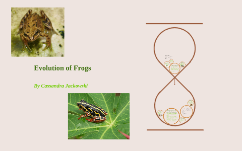 Evolution of Frogs by Cassie Jackowski on Prezi