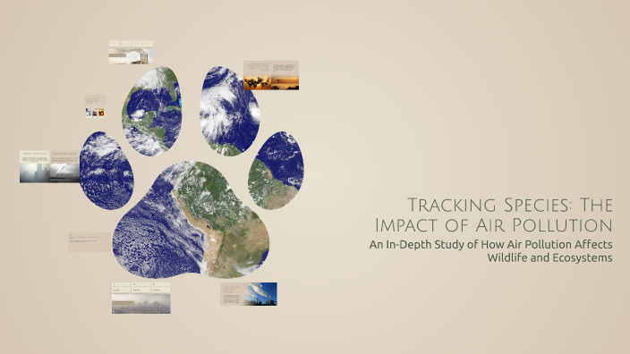 Tracking Species: The Impact of Air Pollution by Michael Allen on Prezi