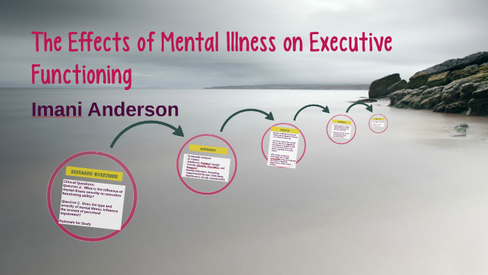 The Effects of Mental Illness on Executive Functioning by Imani ...
