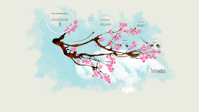 Tornados by Justin tinoco on Prezi