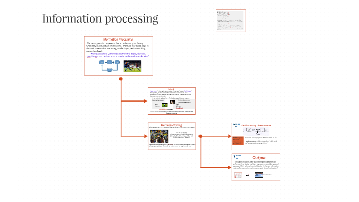 Information Processing by Piotr Malecki on Prezi