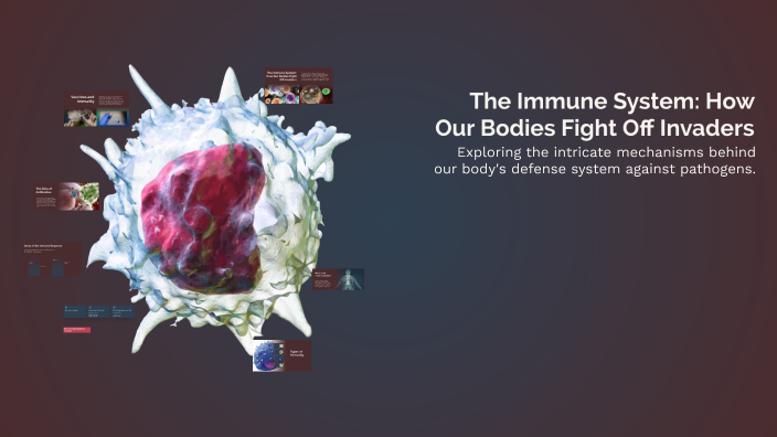 The Immune System: How Our Bodies Fight Off Invaders by Leah on Prezi