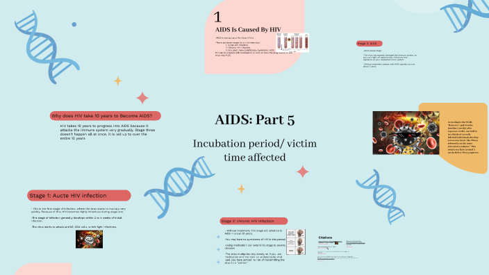 HIV/AIDS incubation period by Ryan H on Prezi