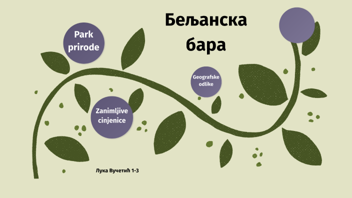 Бељанска бара by Luka Vucetic on Prezi