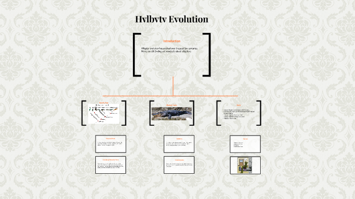 Hvlbvtv Evolution by Shelby Factor on Prezi
