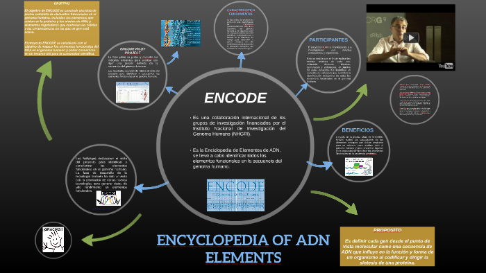 ENCICLOPEDIA ENCODE by VANESA BOCANEGRA