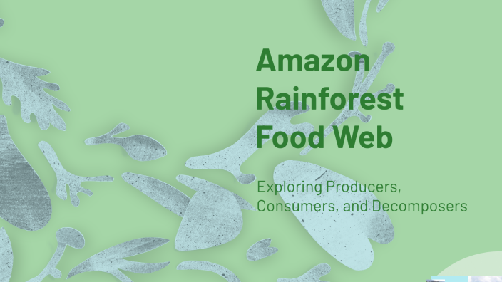 Amazon Rainforest Food Web by Cole Garcia on Prezi