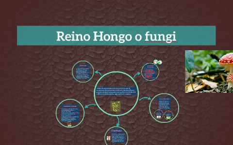 Reino Hongo o Fungi by Paula Ruiz Hurtado on Prezi