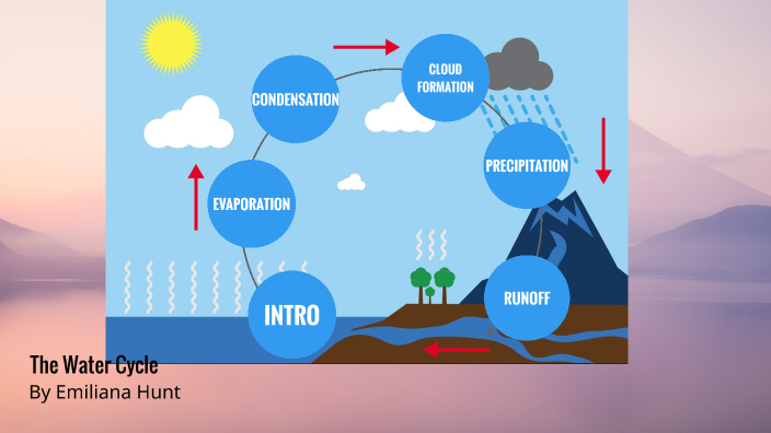 The Water Cycle by Alexandra Hunt on Prezi