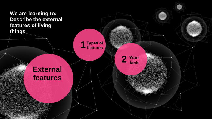 External features of living things by Andrew Smith on Prezi