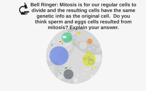Bell Ringer: Mitosis is for our regular cells to divide. Ho by Candace ...